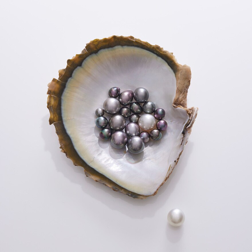 New Course "Pearl: History, Science and Legends" | L'ÉCOLE School of ...