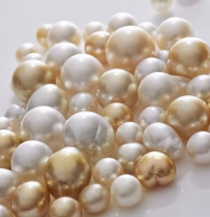 La perle : histoire, science et légendes | L’École des Arts Joailliers