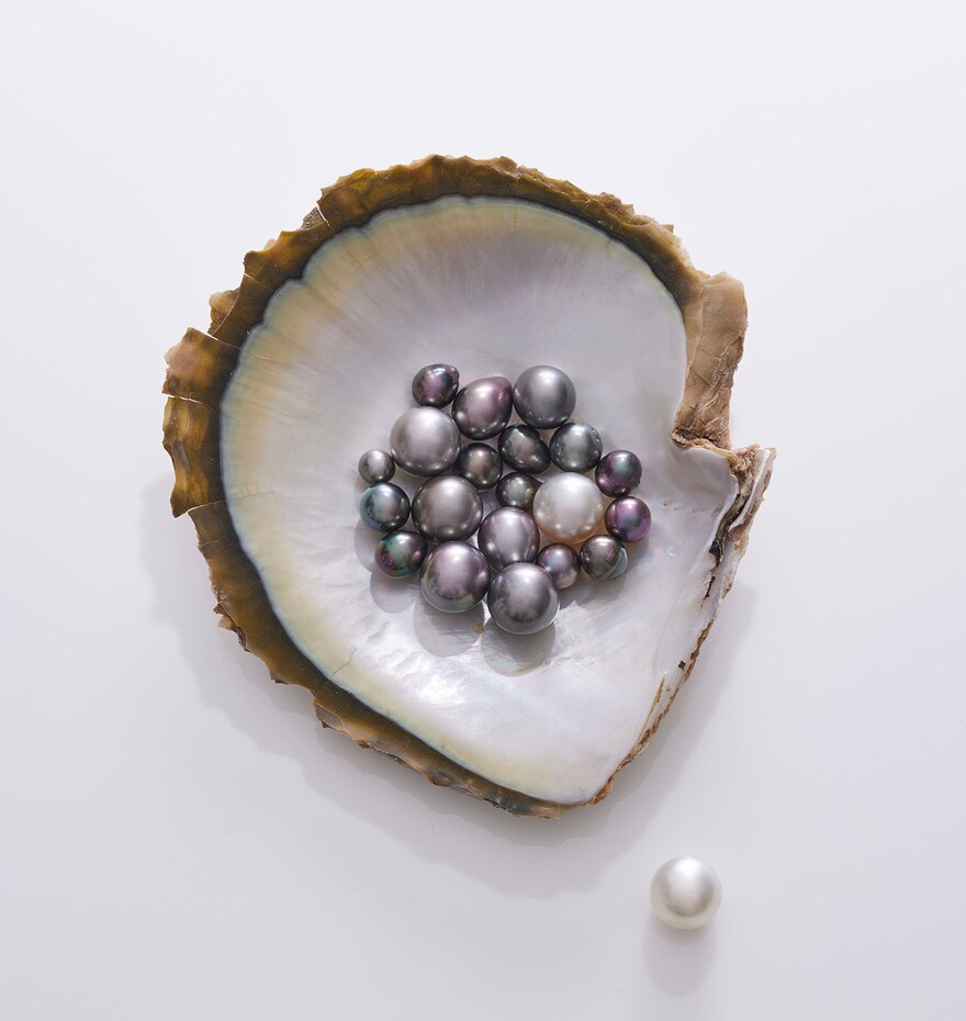 La perle : histoire, science et légendes | L’École des Arts Joailliers