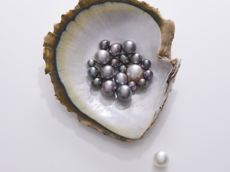 The Story of the Pearl (Reading Session) | L'ÉCOLE School of Jewelry Arts